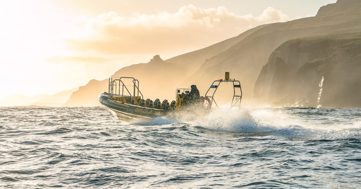 Custom-Built Sea Safari RHIB Boats | Ribcraft® Commercial Leisure Craft ...